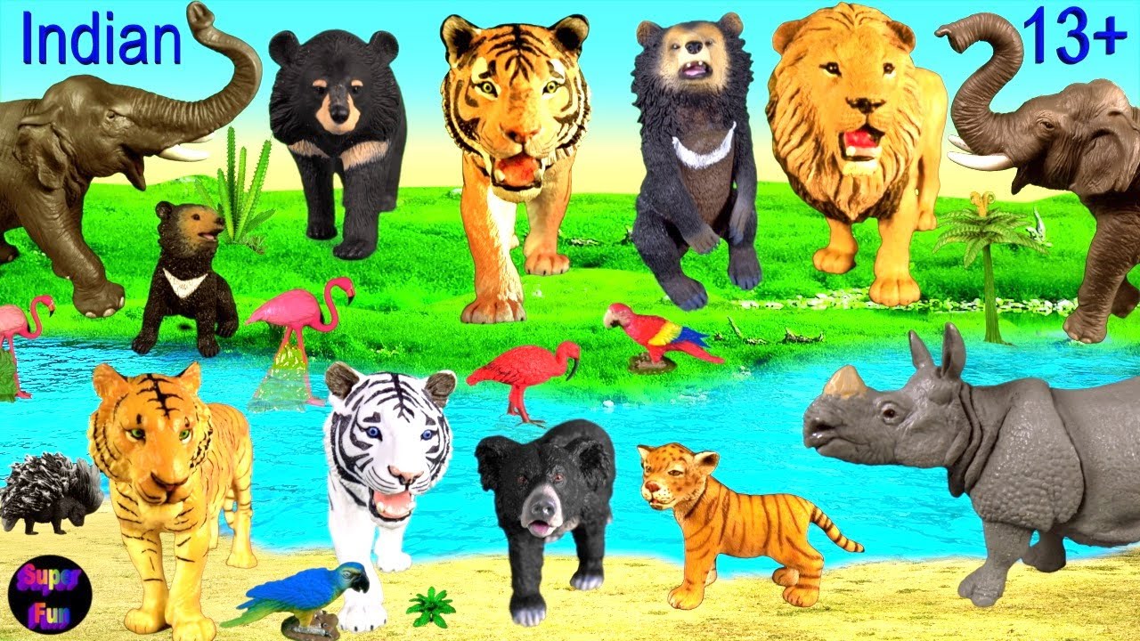 Animals - Tiger Lion Elephant Rhino Asiatic Bear Sloth Bear Macaw ...