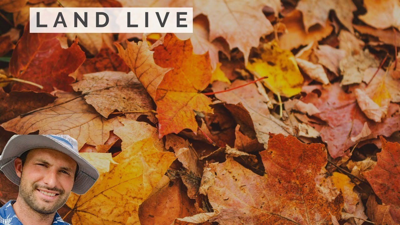 Live Land Show Monday 9 AM PST - YouTube