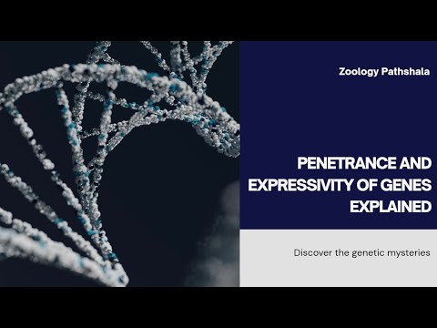 PENETRANCE AND EXPRESSIVITY OF GENES | MSc Zoology Sem 4 Notes and ...