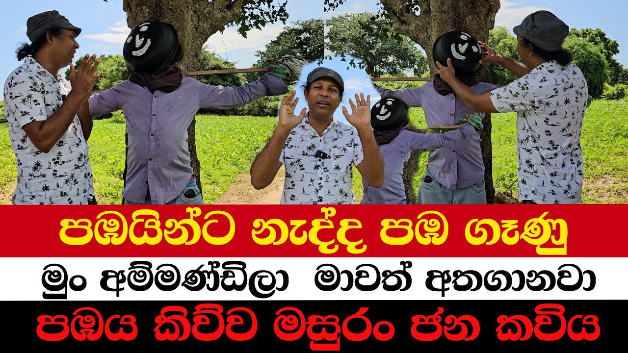 පඹයින්ට නැද්ද පඹ ගෑණු | මුං අම්මණ්ඩිලා මාවත් අතගානවා | පඹය කිව්ව මසුරං ...