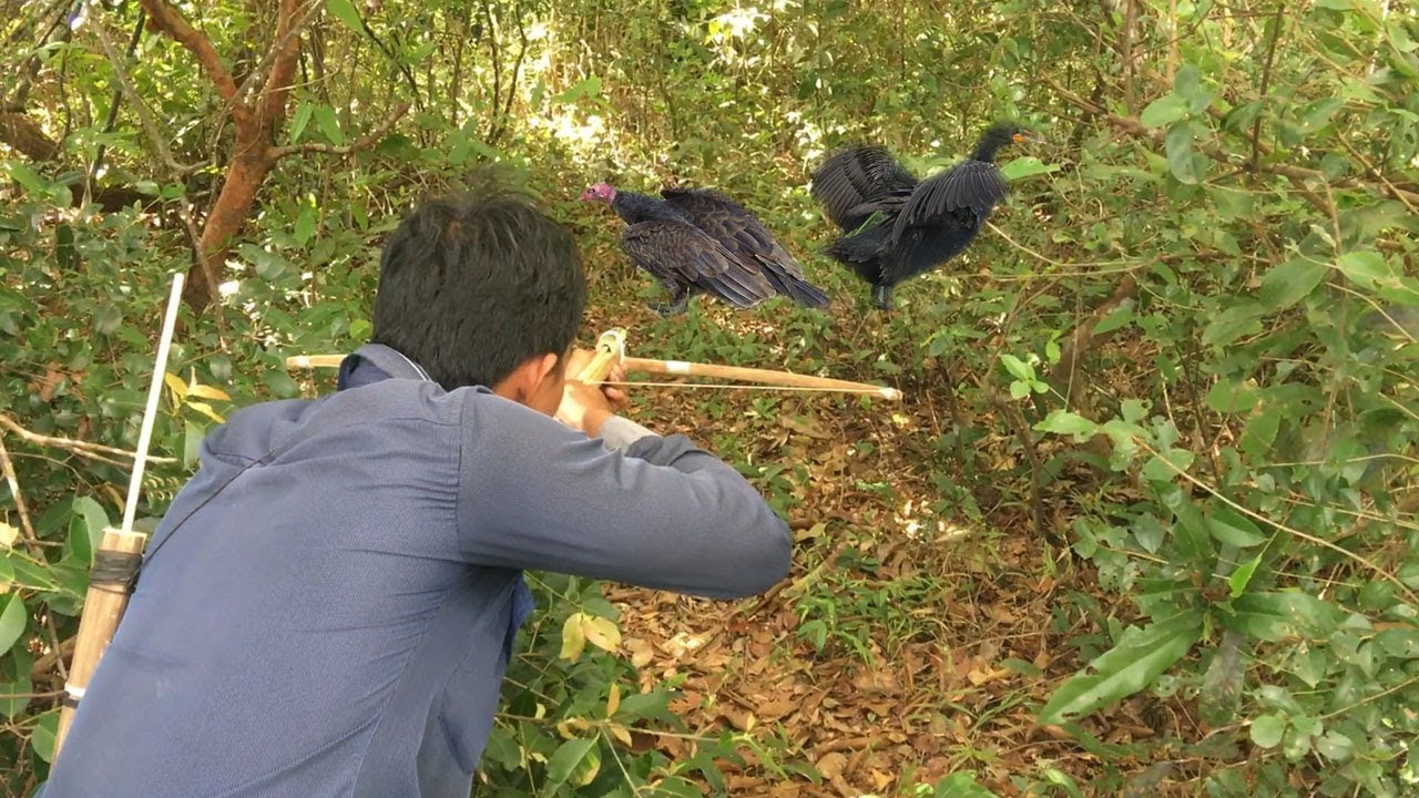 Smart Man! Shoot Big Birds Using Crossbow - How to Make Compound ...