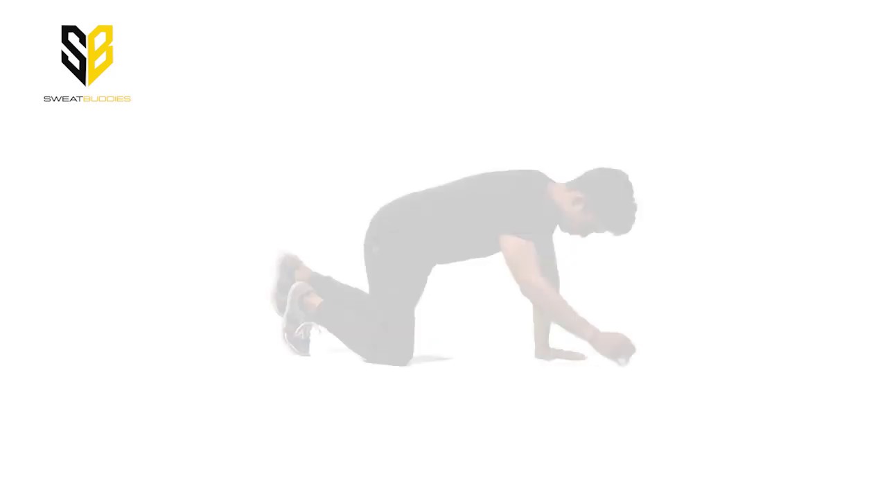 Isometric Bird Dog - YouTube
