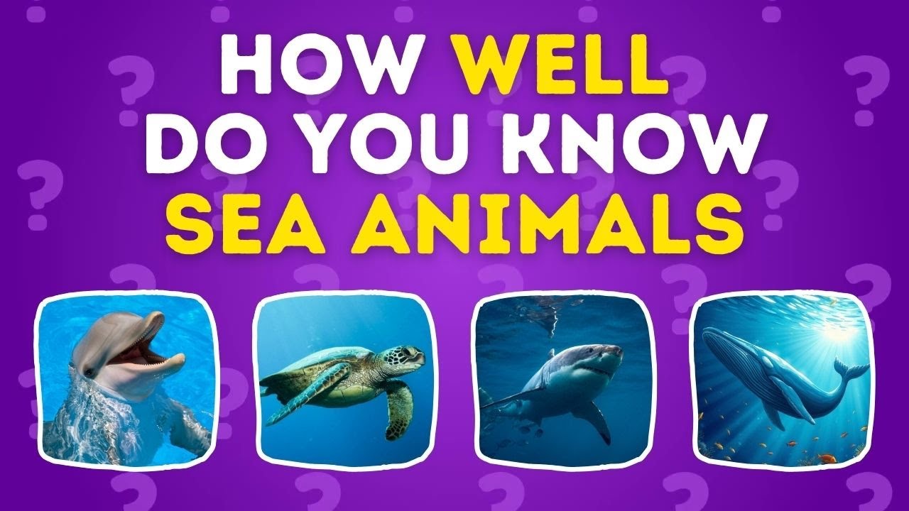 How Well Do You Know These 50 Sea Animals? Test Your Knowledge! - YouTube
