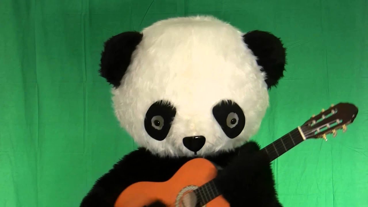 Panda plays guitar - YouTube