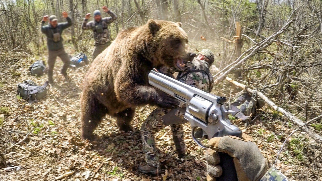 This Legendary Weapon Unleashed Pure FURY on 1000 Pound Grizzly Bear ...