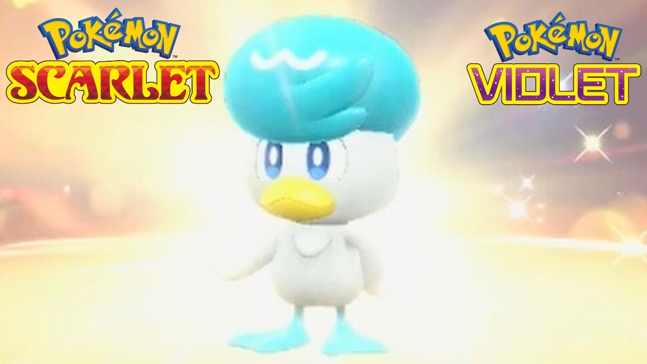 Dot’s Quaxly Mystery Gift | Pokémon Scarlet & Violet - YouTube