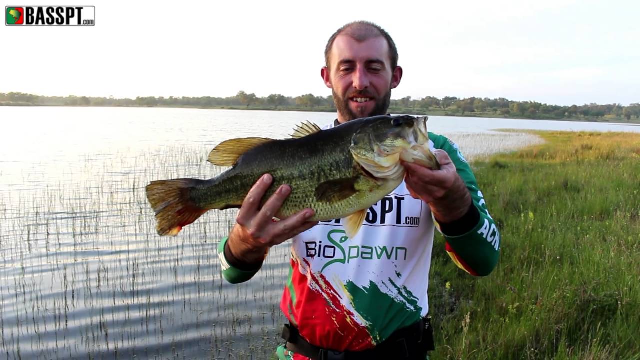 Maior achigã da abertura de 2016 - YouTube