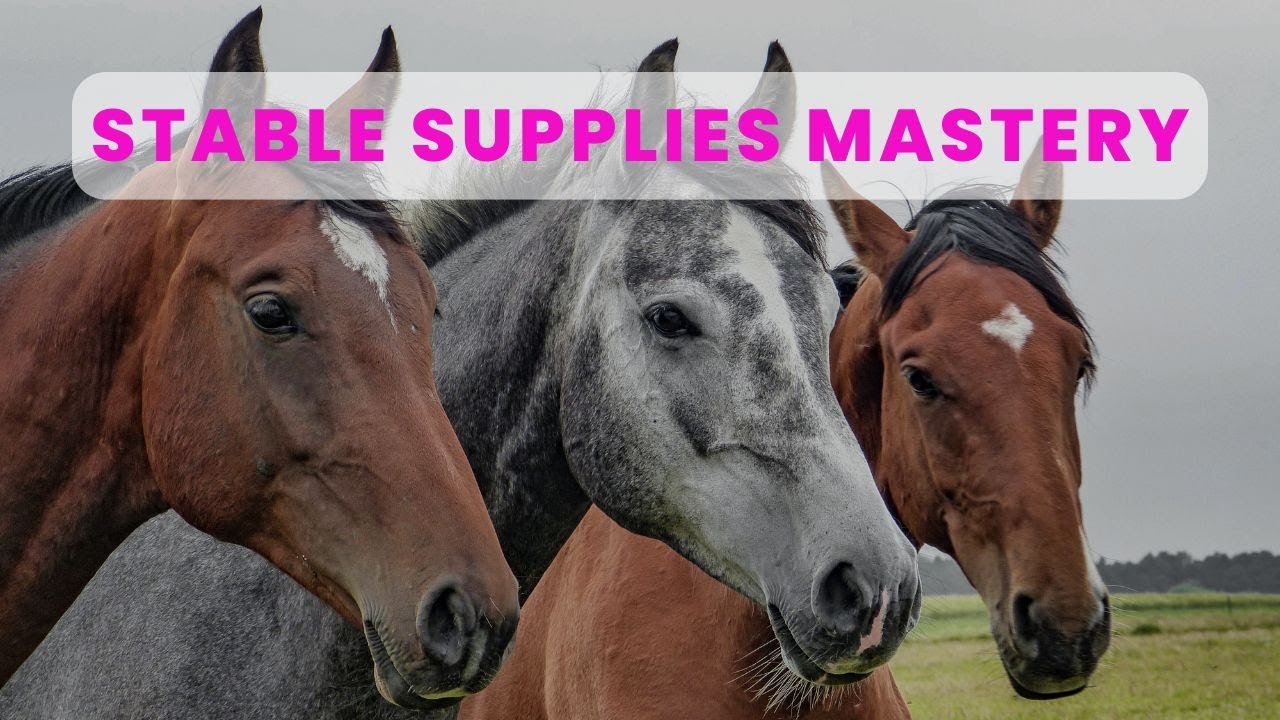 Stable Supplies Mastery: Ensuring Your Horse's Peak Health #stable # ...