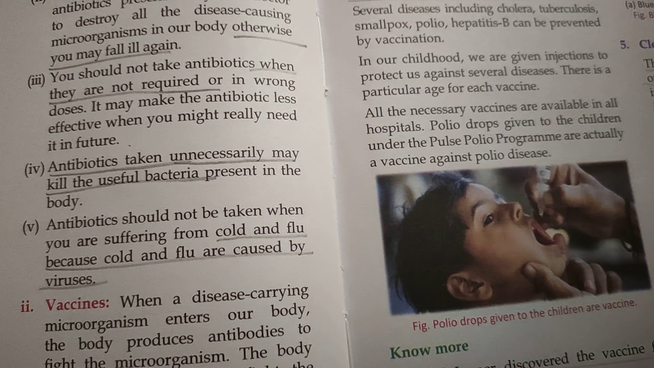 Microorganisms part 2 class 8 (friendly microorganisms) - YouTube