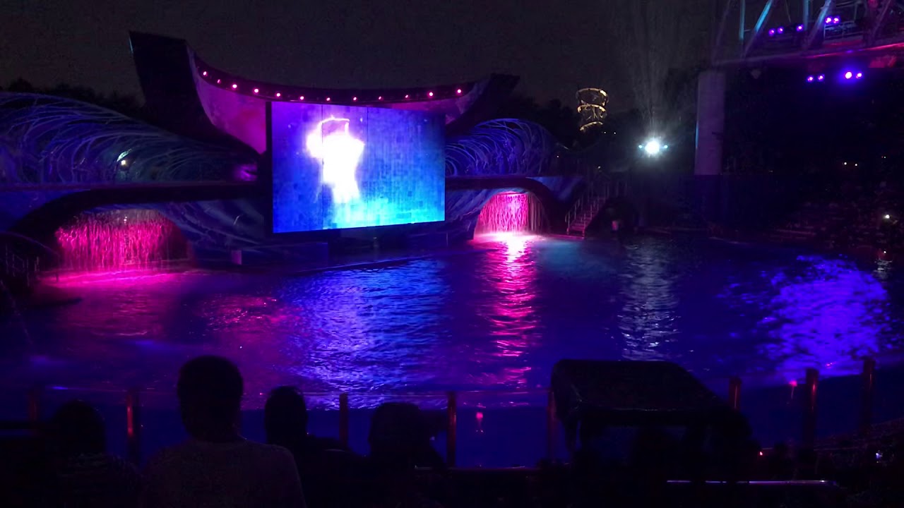 Shamu Celebration: Light Up the Night 07/31/2019 8:30pm - YouTube