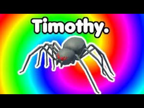 One of the fastest timothy | Roblox Doors | 5/6 sec - YouTube