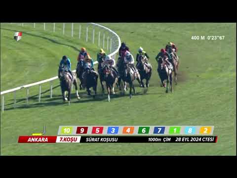 (G1) SÜRAT KOŞUSU 2024 / SON OF COOGER - AHMET ÇELİK