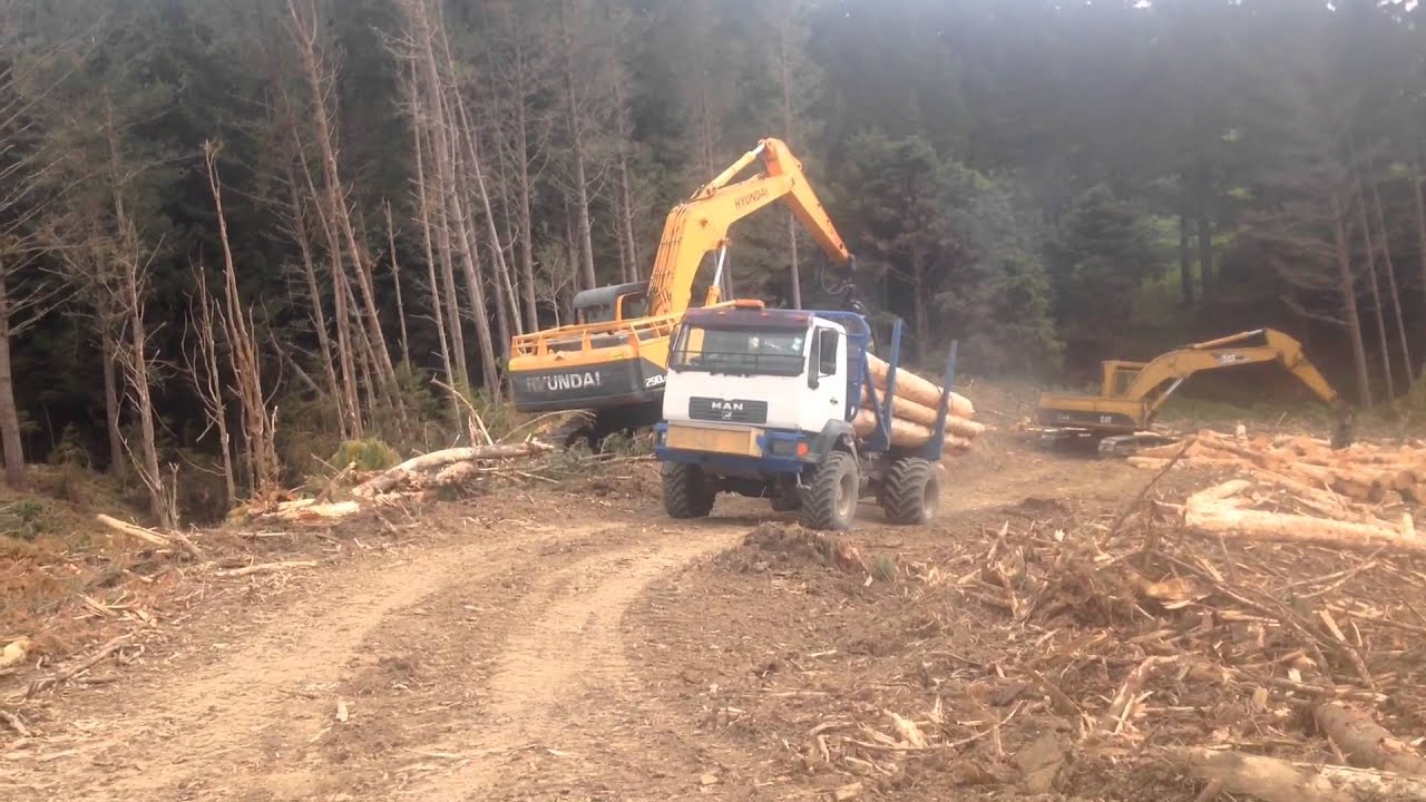 Logging NZ northland - YouTube