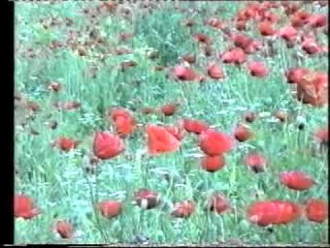 AGALAR BAYRAMOV    KÖNLÜM