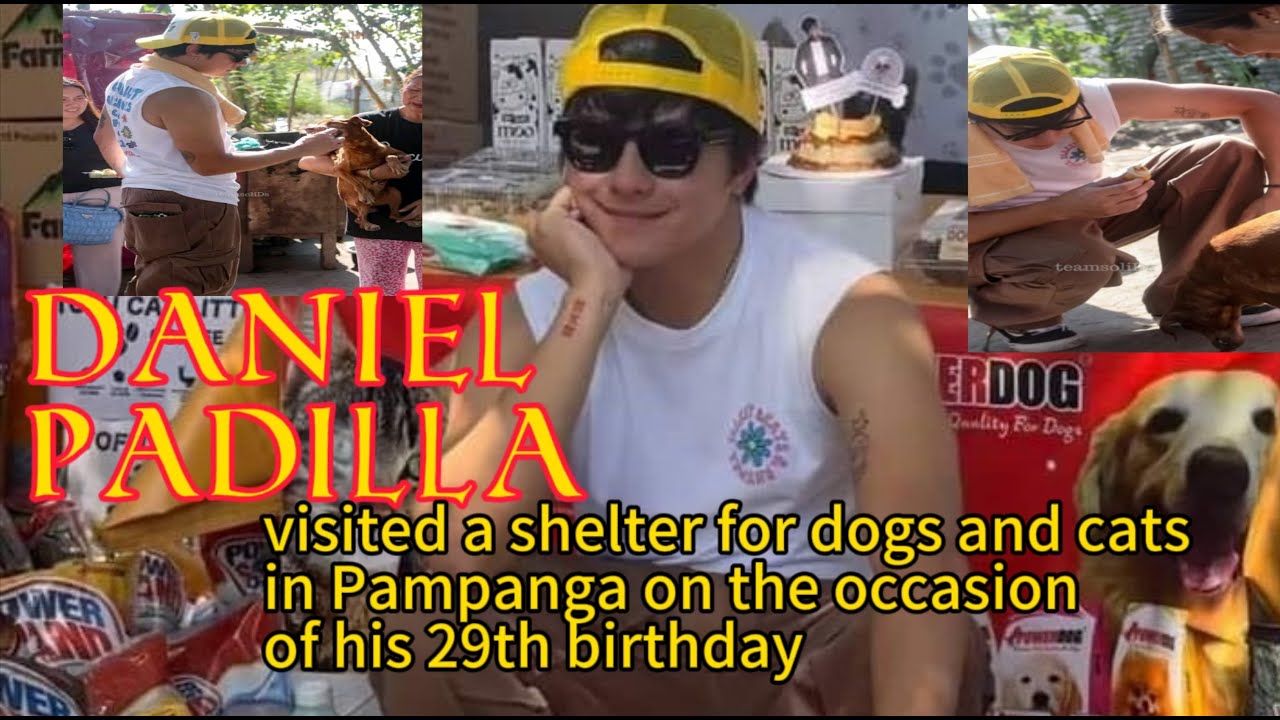 Daniel Padilla visited a shelter for dogs and cats in Pampanga on the ...