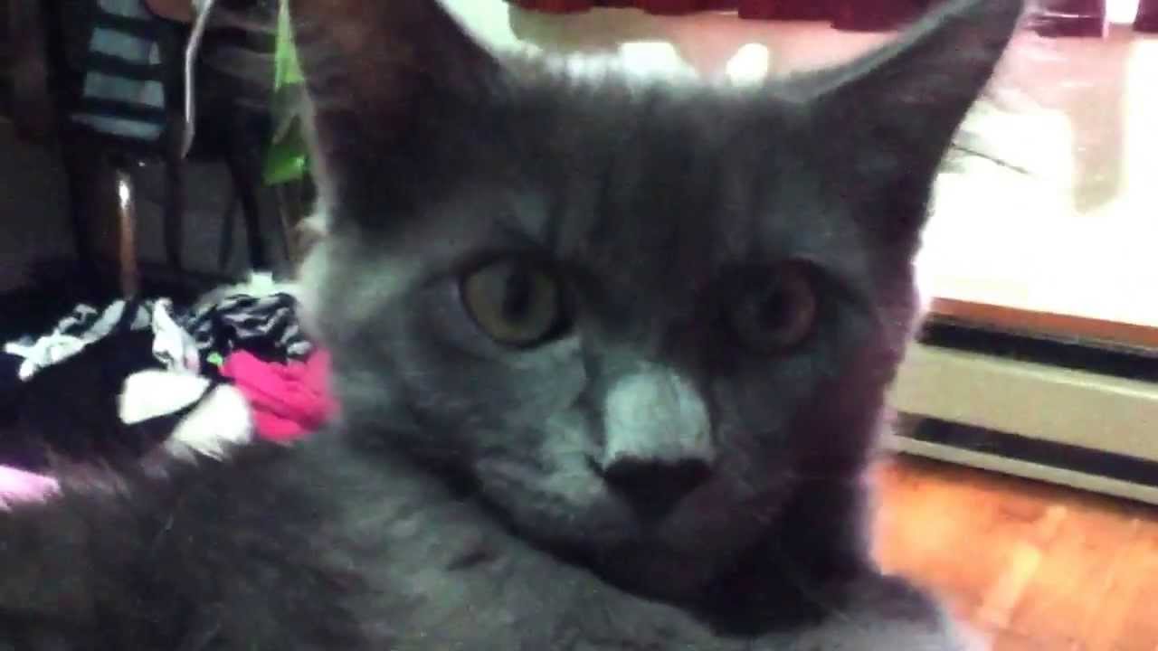 Tweeker