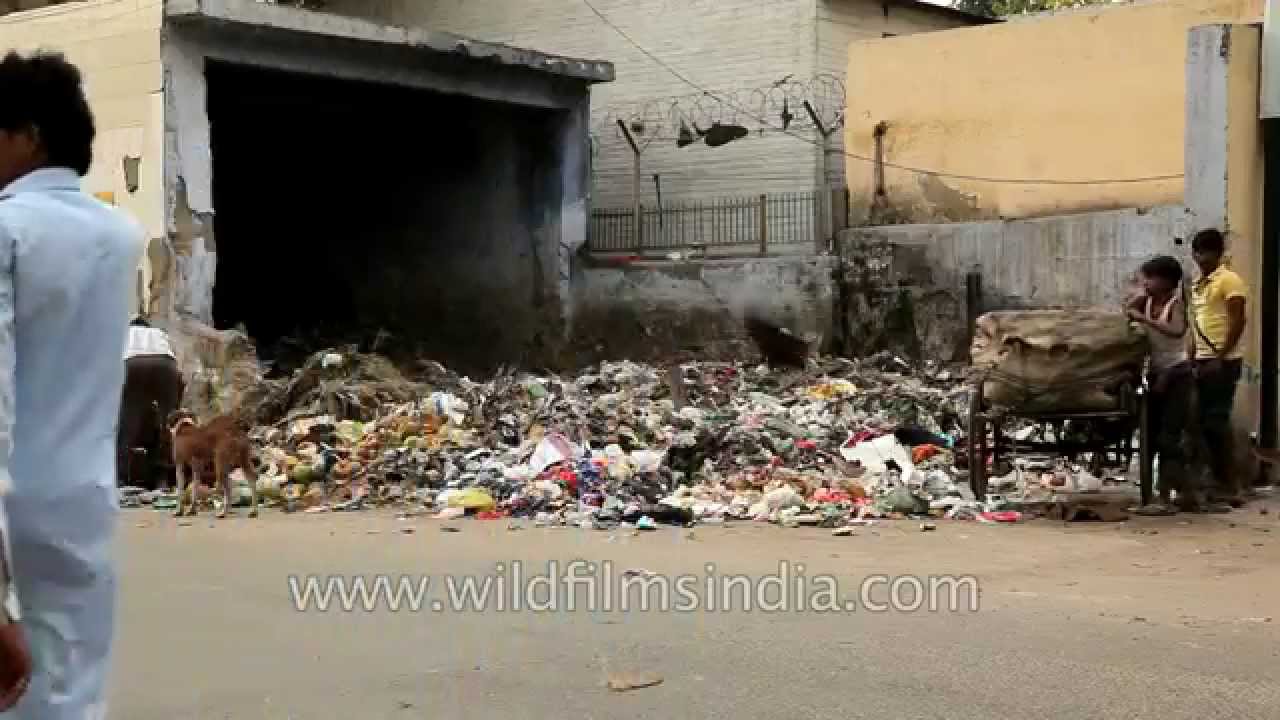 Garbage dumped on Delhi streets - YouTube