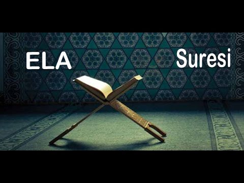 87. El Ela  suresi