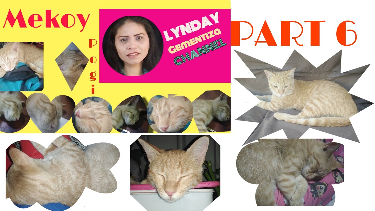 Part6 Ang Malambing Kung Mekoy Medyo May Kakulitan.@Lynday Channel ...