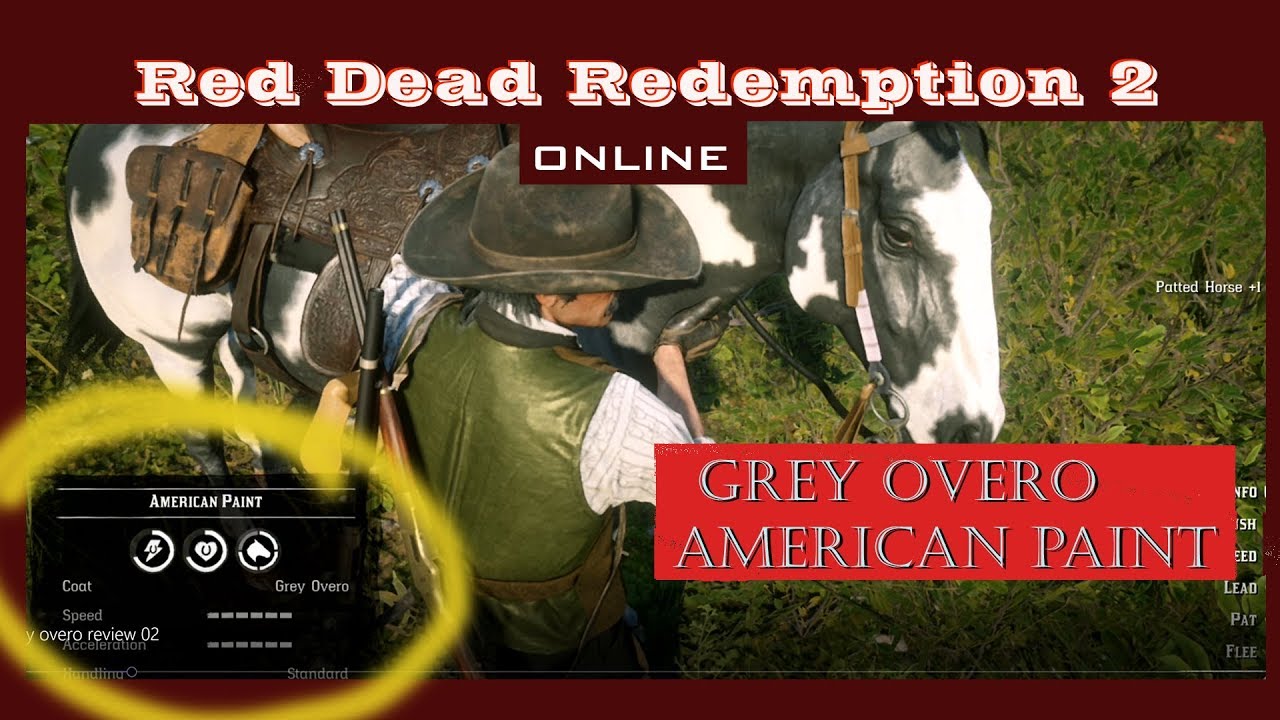 Red Dead Redemption 2 ONLINE_Grey Overo Horse Review - YouTube