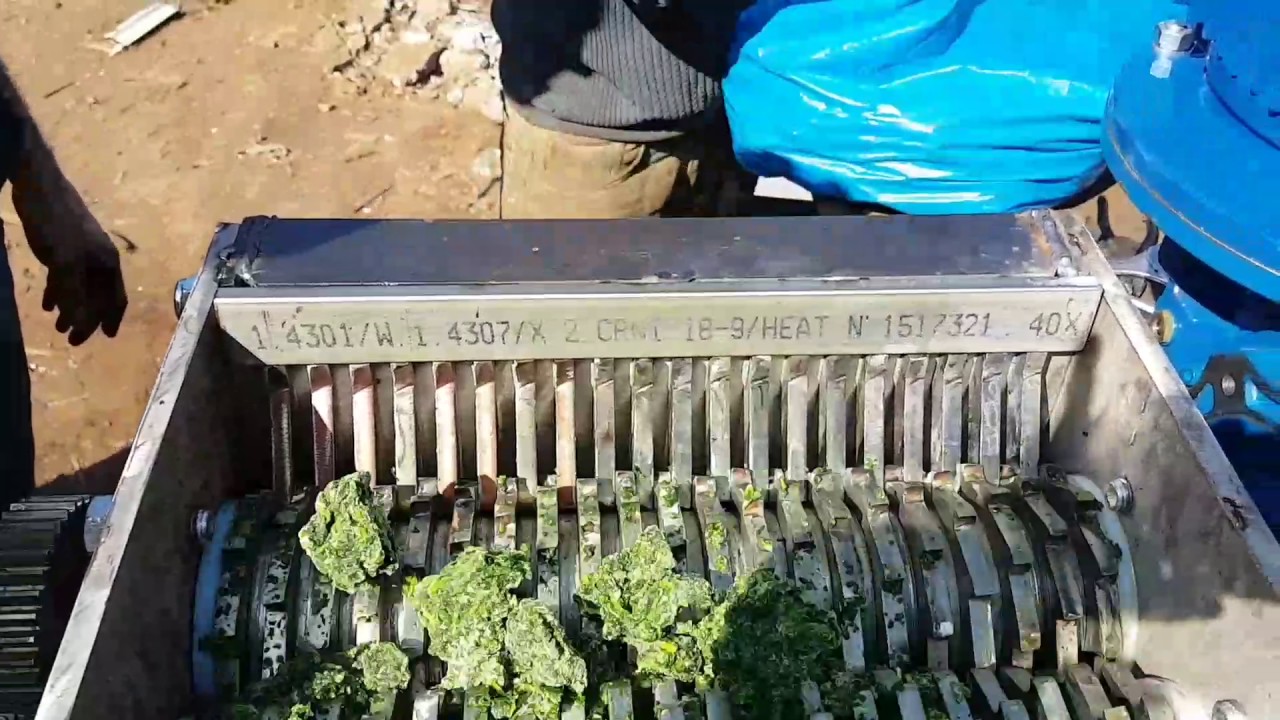 TEXKOM_034_Shredder for frozen spinach - YouTube