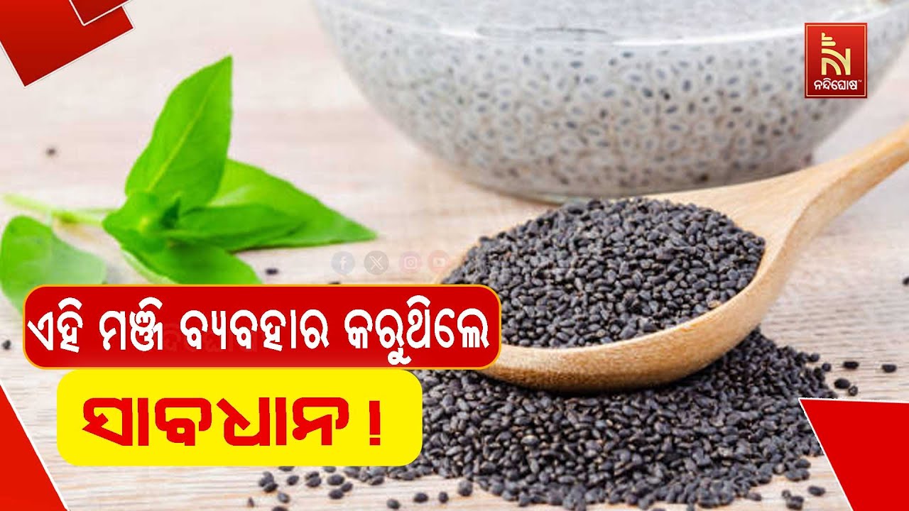 Sabja Seeds and Chia Seeds Difference | Best Way to Eat Seeds for ...