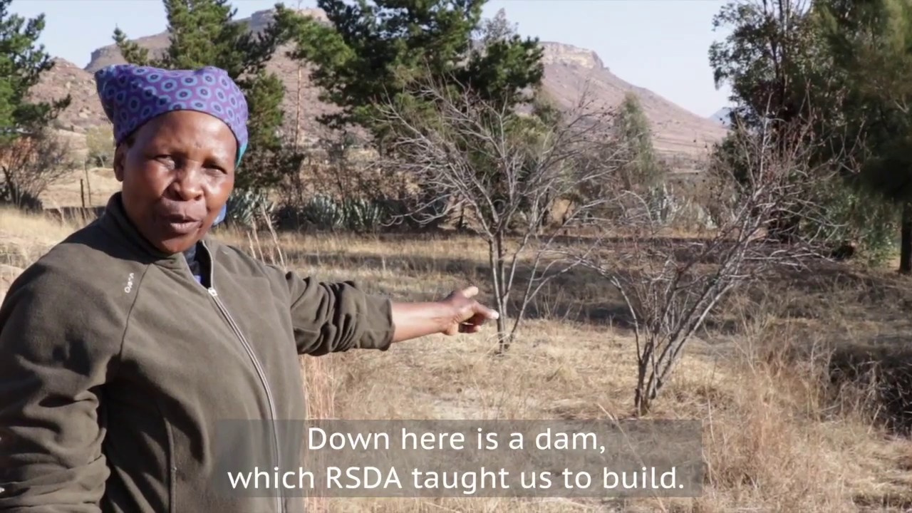 'Mataemane's story: RSDA supports Lesotho farmer become self-sufficient ...