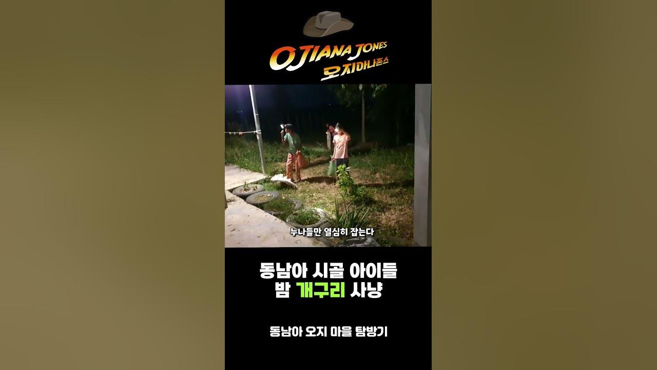 동남아 시골마을 아이들의 개구리 사냥 Youtube