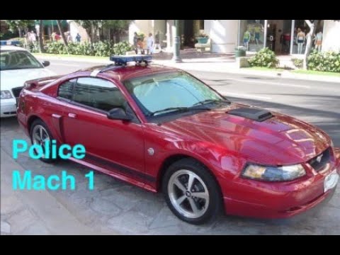 03 mach 1 and 04 mach 1 mustang police cars in hawaii - YouTube