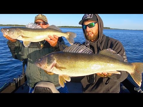 Angeln mit einem WAHNSINNIGEN Schwarm GROSSER Glasaugenbarsche im Devils Lake!