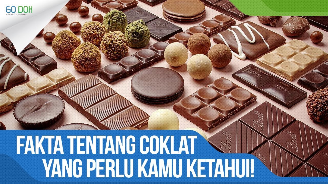 Fakta tentang Coklat yang perlu kamu ketahui ! / Go Dok Indonesia - YouTube