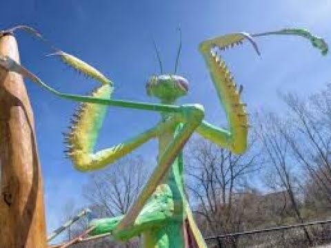 first time using boarding pods in Barotrauma - YouTube