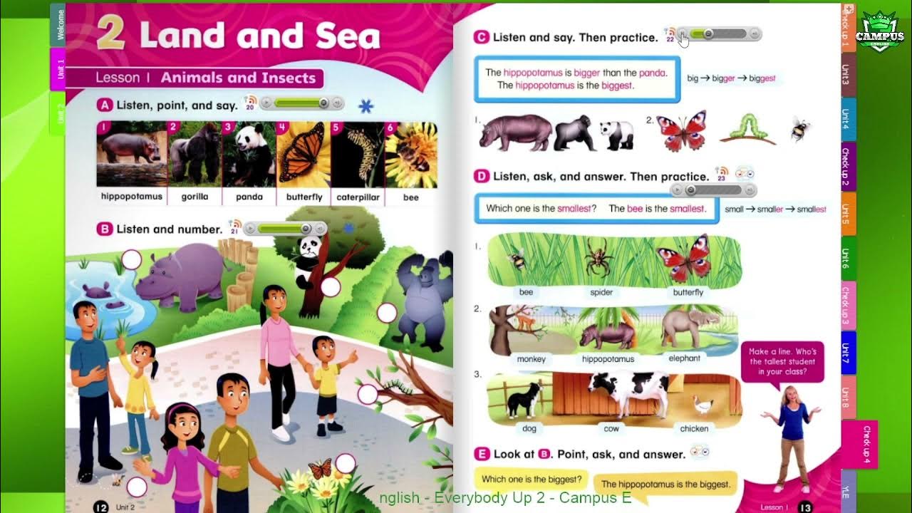 Everybody Up 4 - Unit 2 - Land and Sea - Lesson 1 - Animals and Insects ...