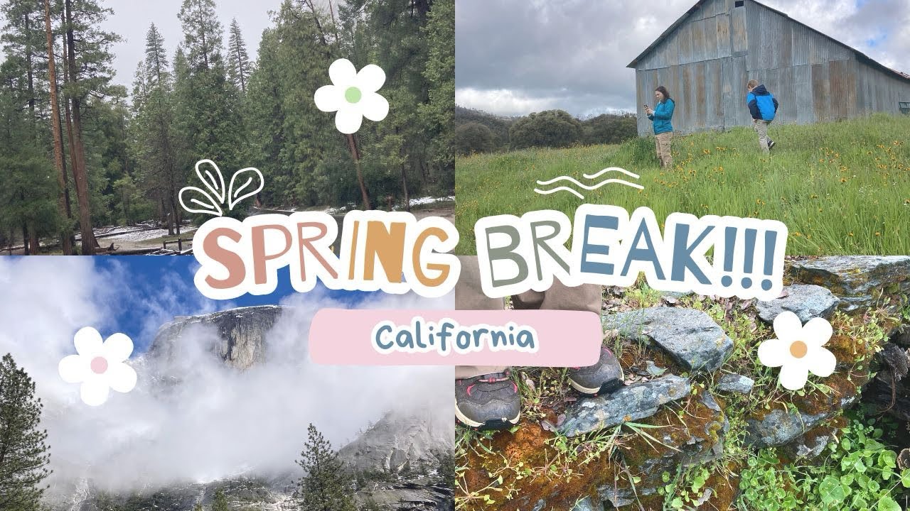 senior year spring break! - YouTube