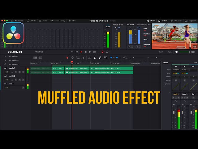 Muffle Sound Davinci