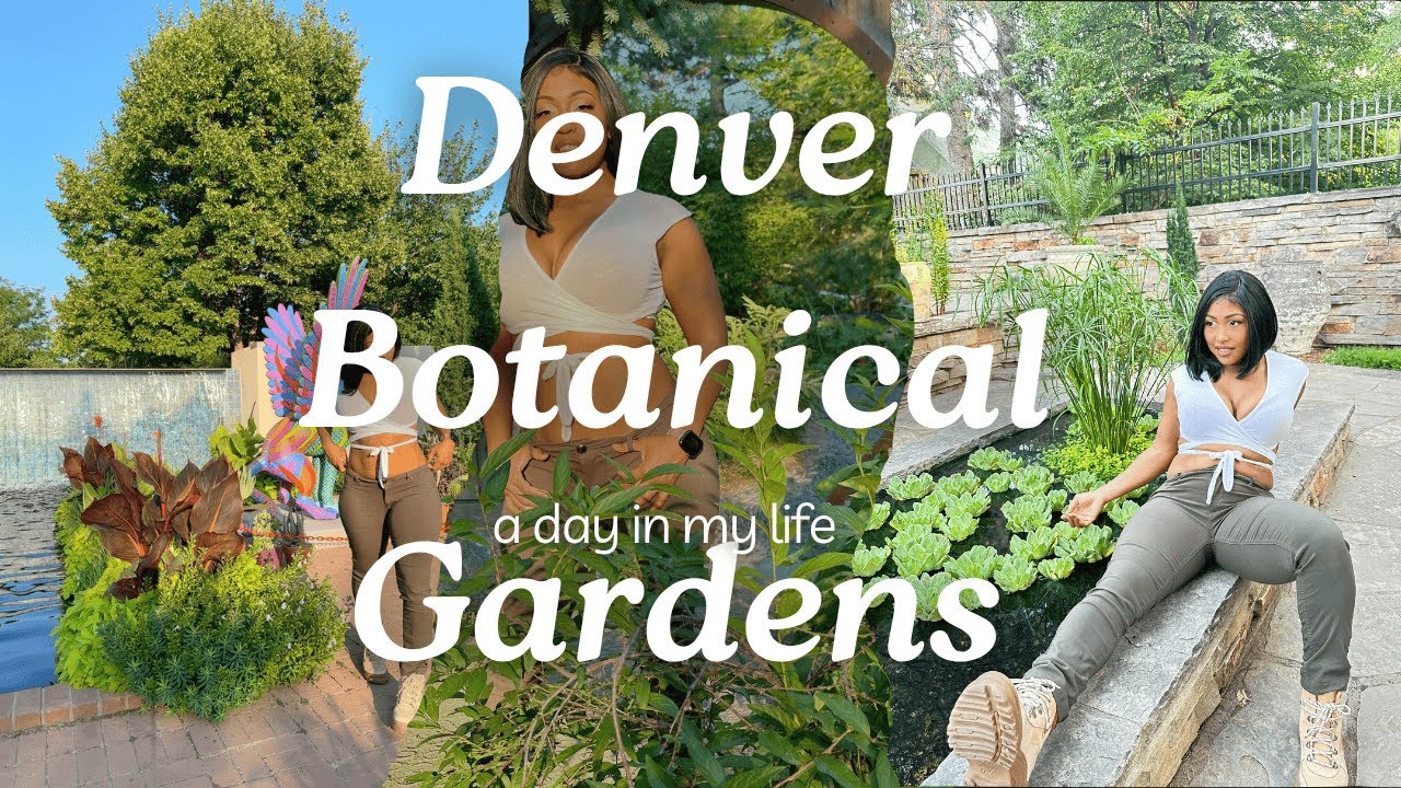 Live Garden Chat at Denver Botanic Gardens | Peaceful Moments & Real ...