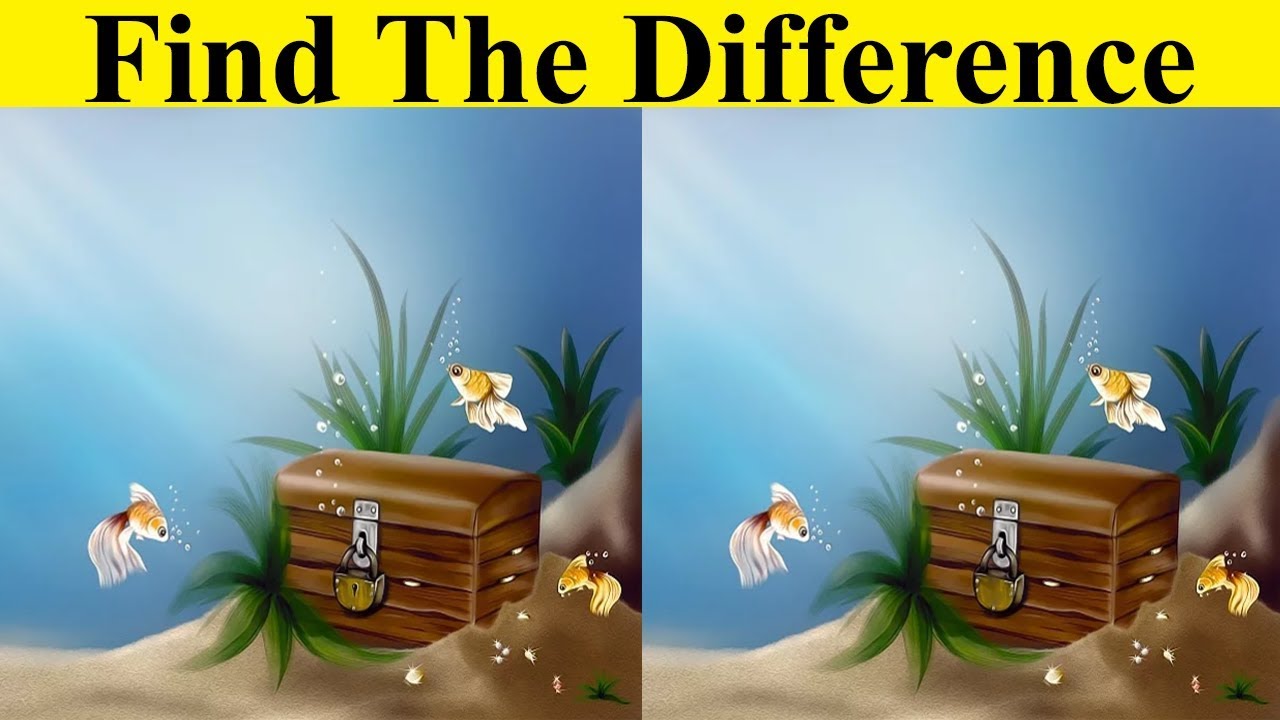 Find The Difference | Only Geniuses Can Find All The Difference | Tell ...