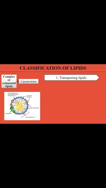 Lipoproteins I Structure and Functions I Complex/Compound Lipids - YouTube