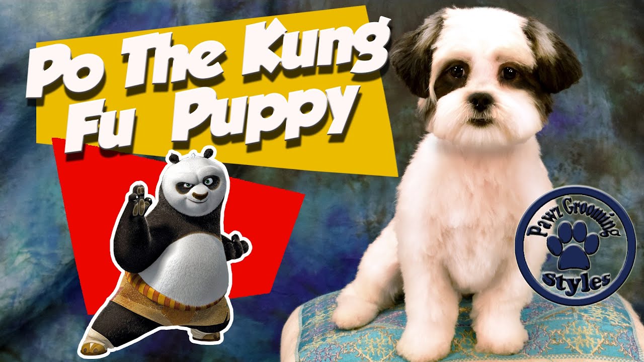 Po the KUNG-FU Puppy(Pawz grooming grooms a dog that looks like a panda ...