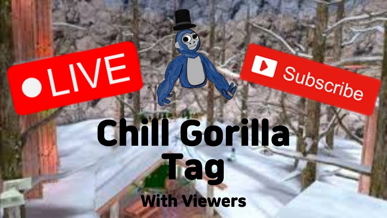 Chill Gorilla Tag With Viewers - YouTube