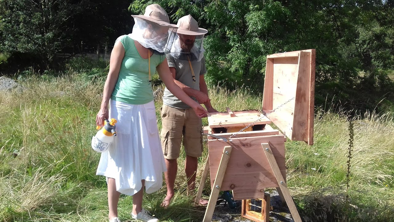 Top Bar Hive Beekeeping With Phil Chandler - YouTube