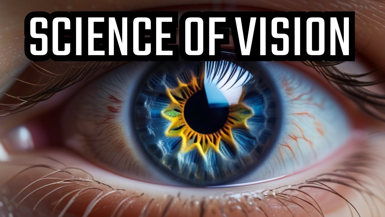 How Our Eyes Work - Science of Sight & Vision - From Retina to Brain - YouTube