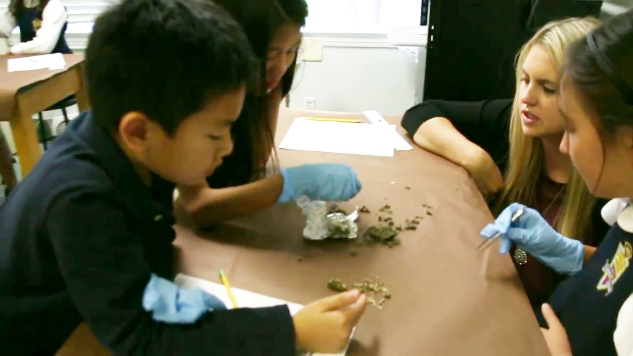 4th Grade Owl Pellet Science Lab at Clairbourn School - YouTube