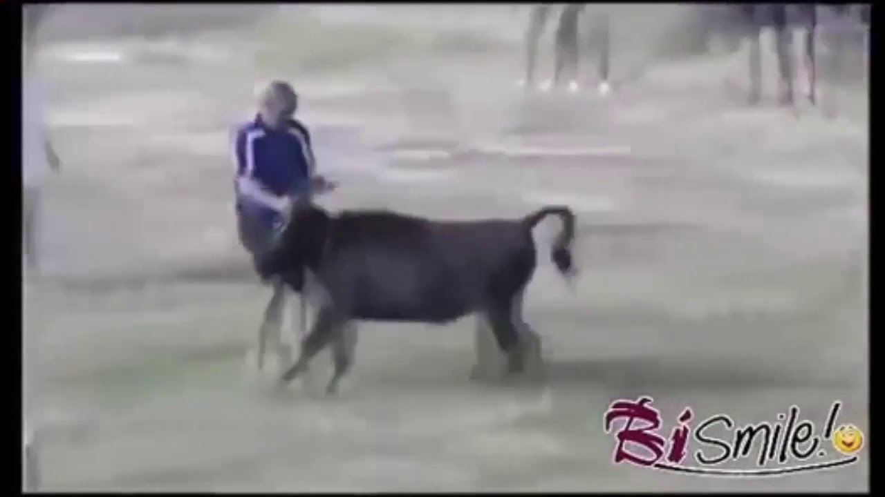Funny moments (bullfighting) 101 - YouTube