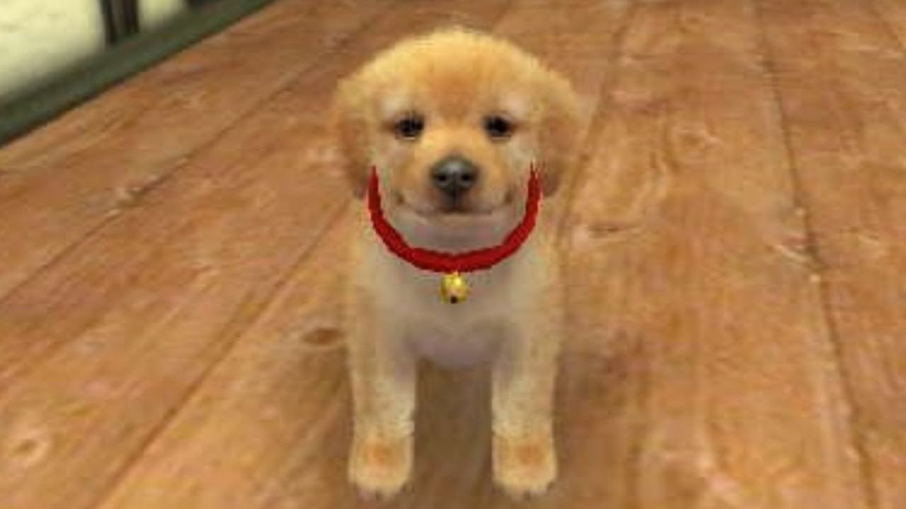 NINTENDOGS: The game that DEFINED 2000s CHILDHOODS 😭 - YouTube