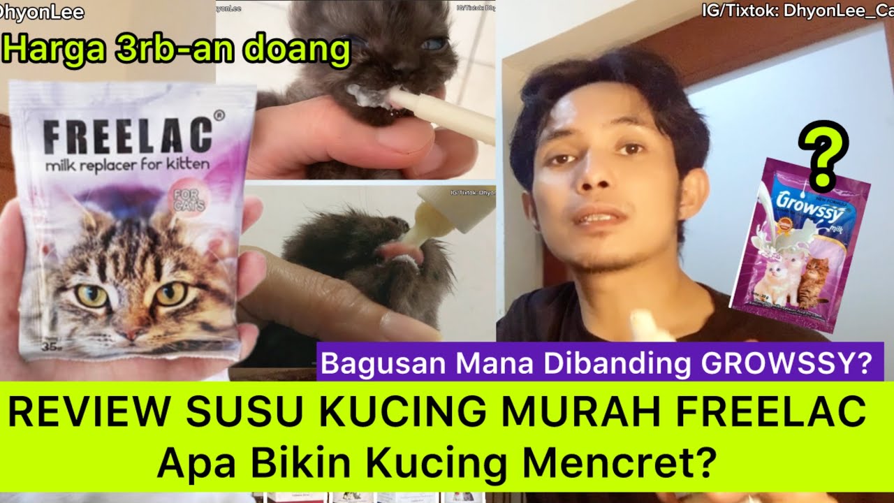 REVIEW SUSU KUCING MURAH TAPI BAGUS / Susu Kucing Merk FREELAC - YouTube