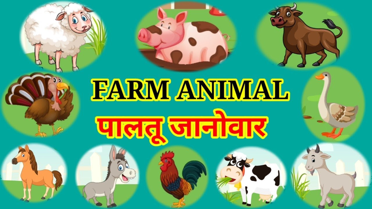 Farm Animals Names and Sounds for Kids to Learn | Learning Farm Animal ...