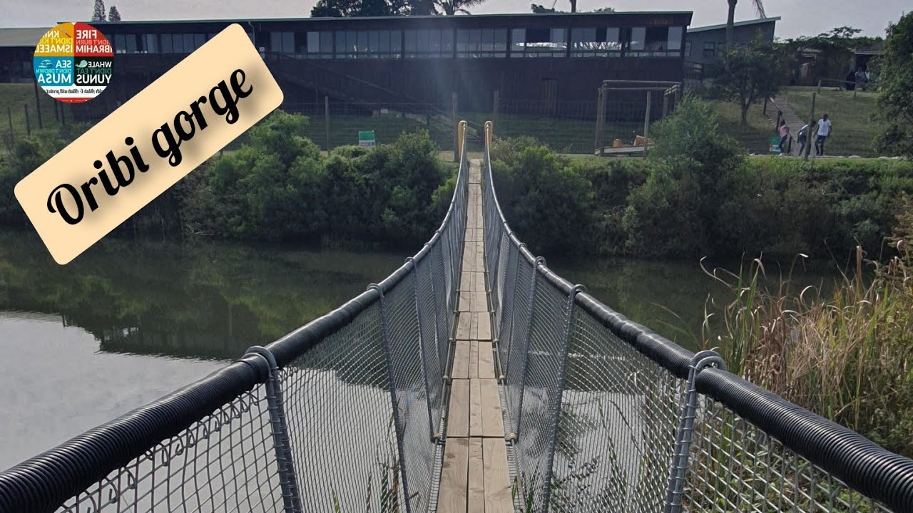 Wild 5 Adventures Oribi Gorge Nature Reserve Ziplines and Extrene ...