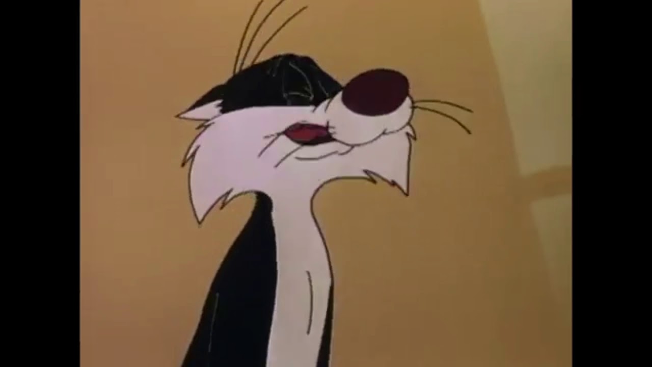 Tweet Dreams (1959) Opening and Closing - YouTube