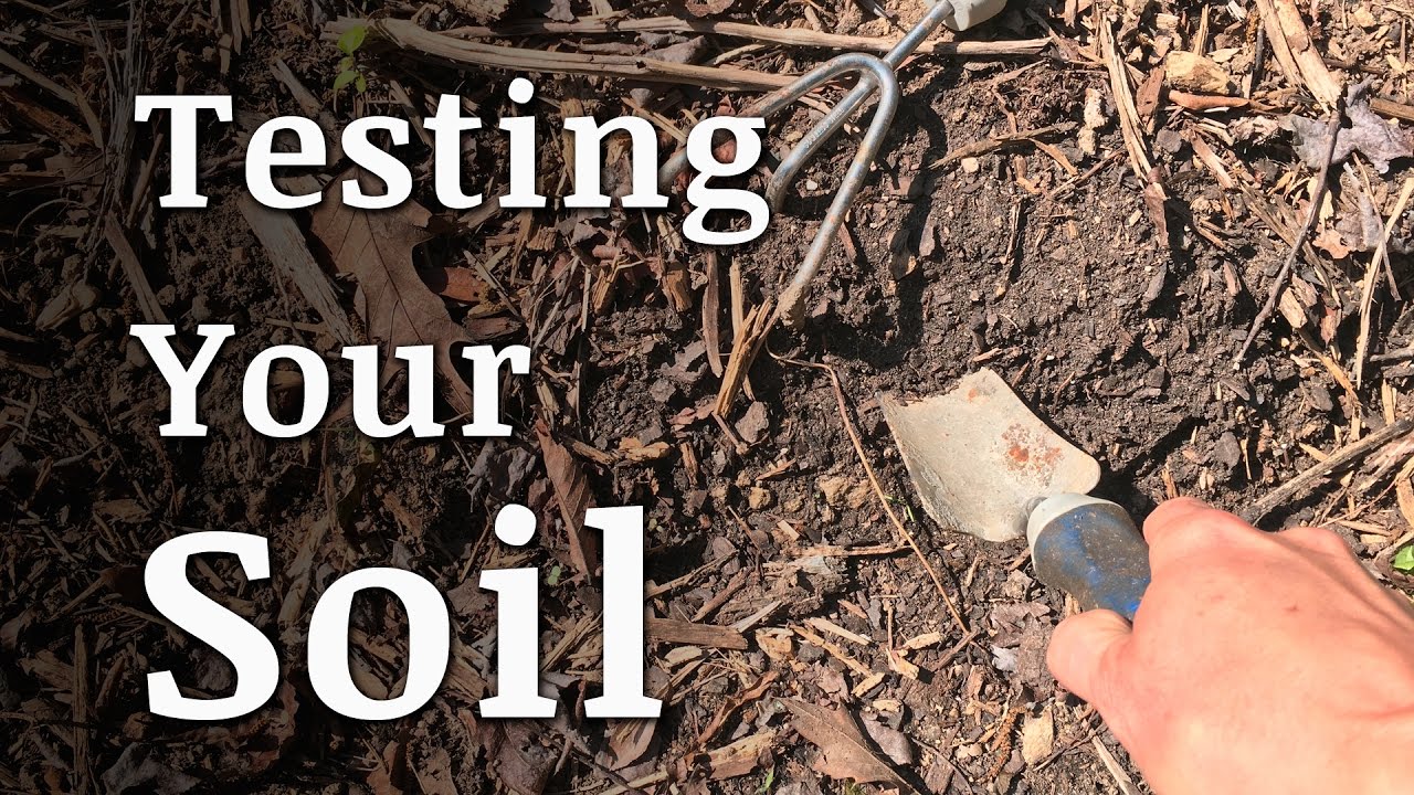 Soil Amendments for Self Sustainability - YouTube